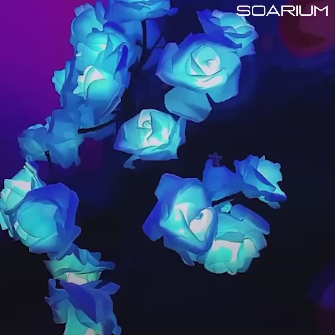 Soarium